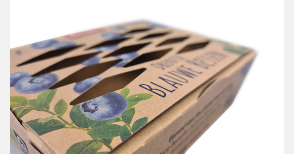 Nouveaux emballages fruits rouges de 150 et 300 g avec couvercle