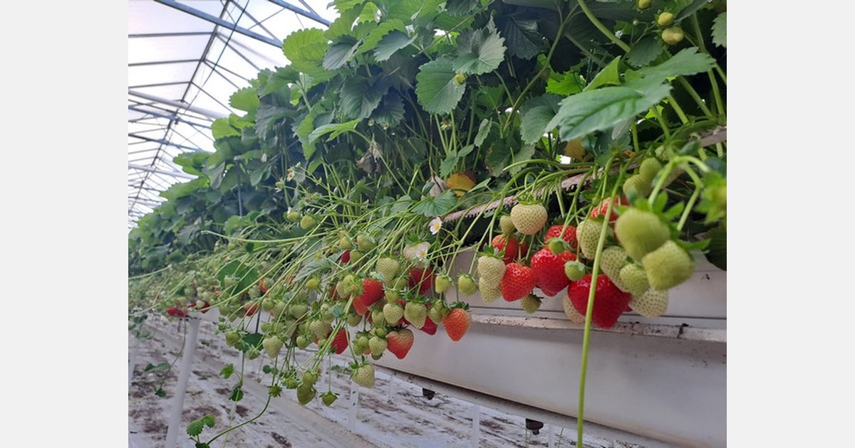 « Le mois de septembre chaud crée aujourd'hui un déficit d ...
