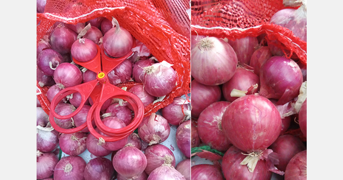 Oignons rouges : « Avec une telle situation de marché, les clients ...