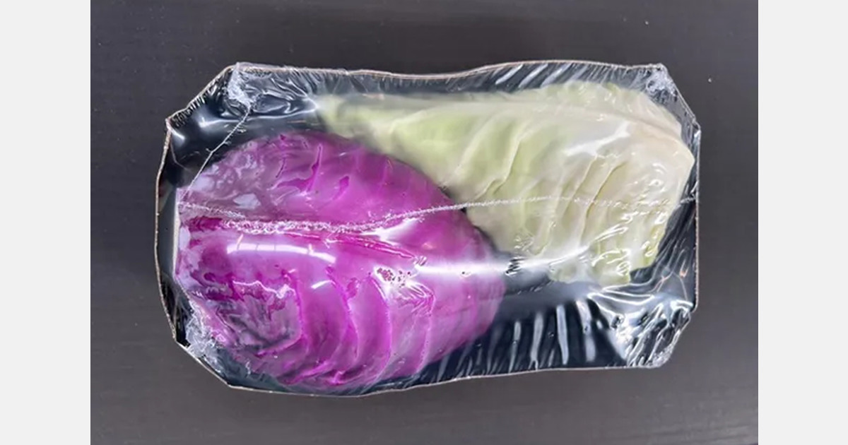 « Petit à petit, nous nous développons avec les choux pointus Violetti