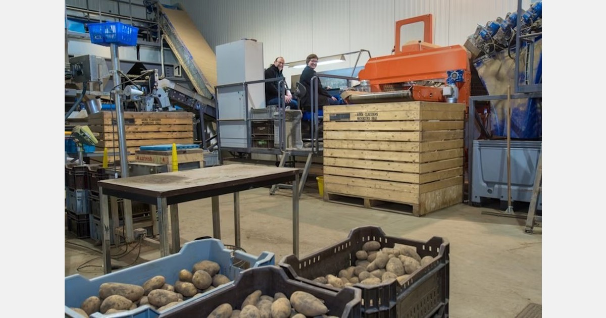 « Avec les prix actuels du marché du jour de la pomme de terre, il est important d'avoir de ...