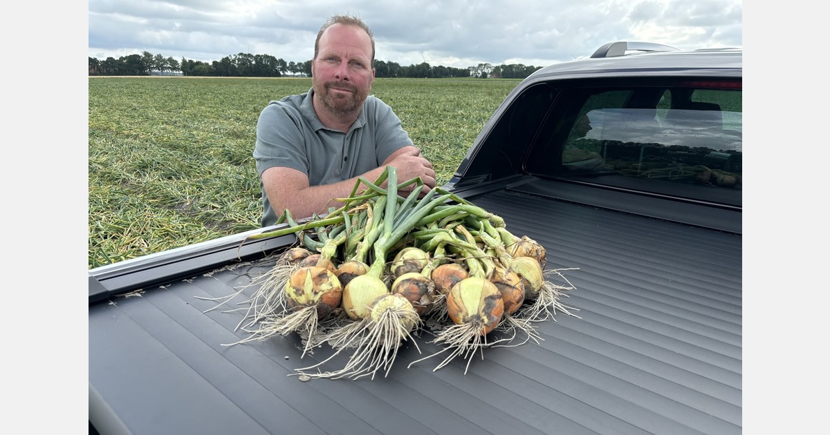 « Le marché de l'oignon est essentiellement sous la main des producteurs