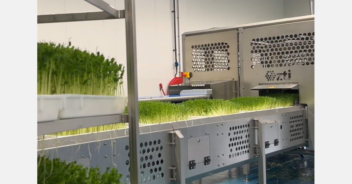 « La nouvelle trancheuse pour micro-pousses augmente l'efficacité et ...