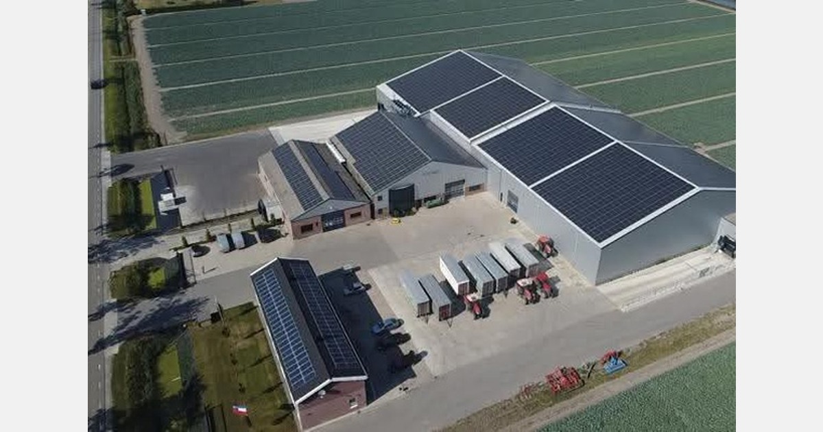 « Le chou-fleur est cher pour la première fois cette année