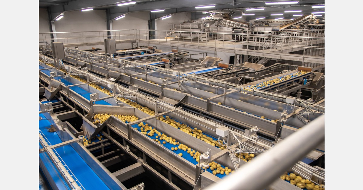 « L'avenir de la pomme de terre réside dans la commodité