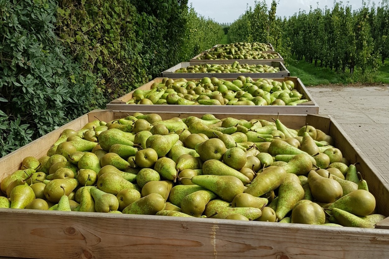 « Il est essentiel d'assurer les ventes de Conférence en temps voulu