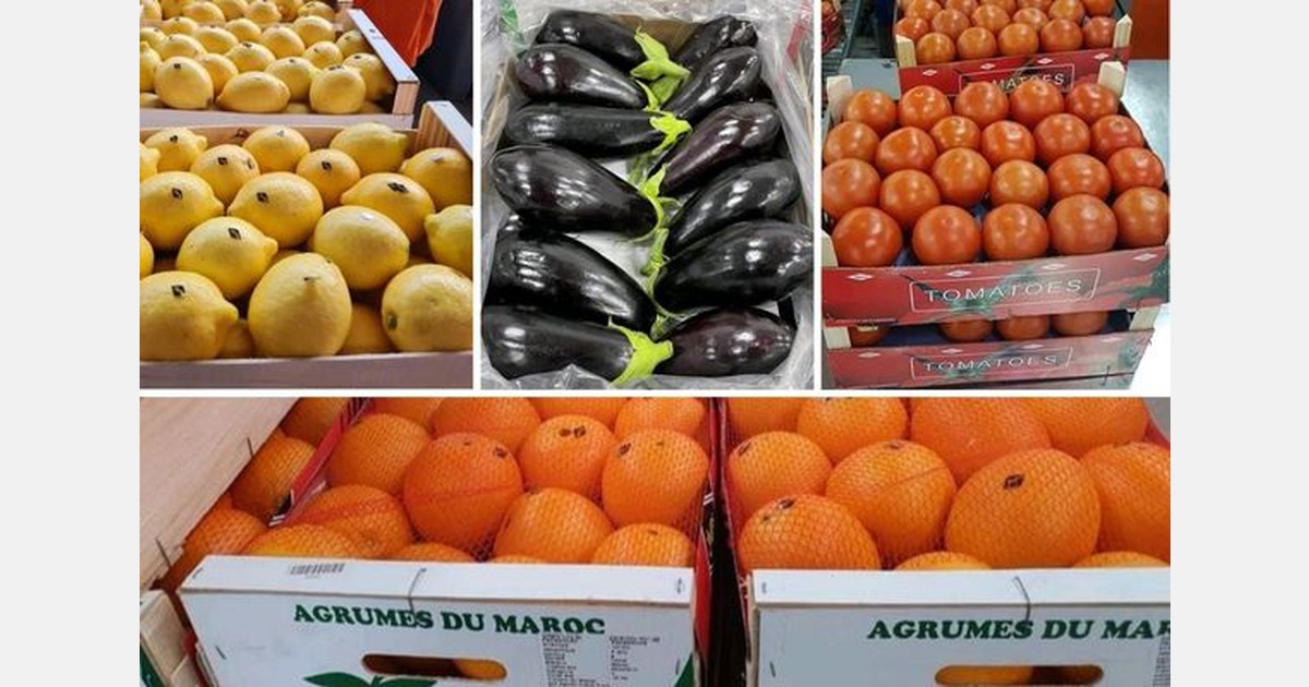 Tendances de décembre des exportations de fruits et légumes frais d'Agadir