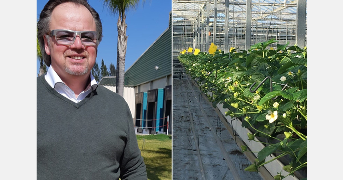 « Nous investissons massivement dans de nouvelles variétés de fruits ...