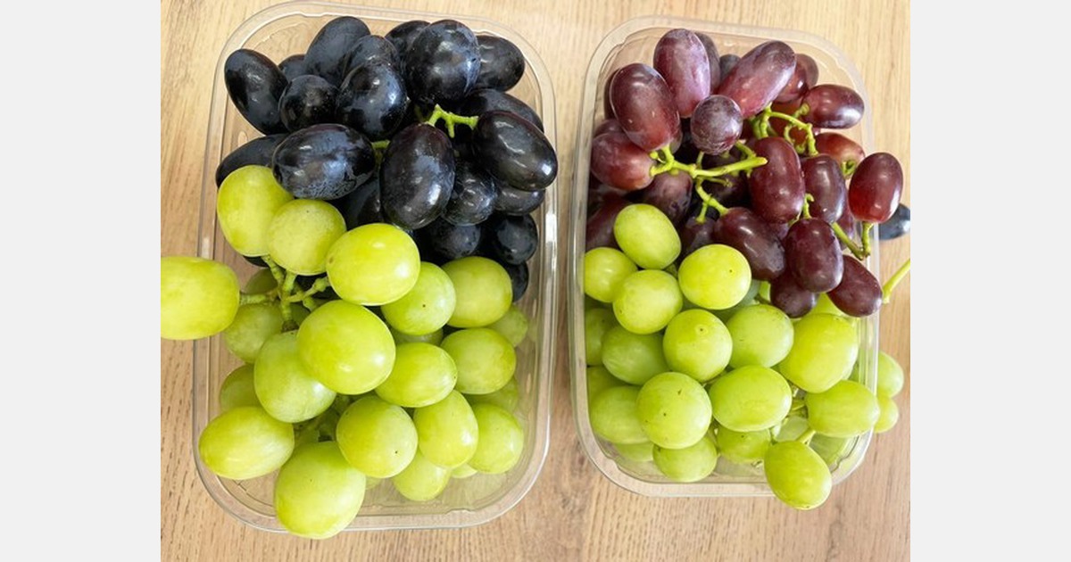 « Forte demande de barquettes mixtes en provenance d'Afrique du Sud