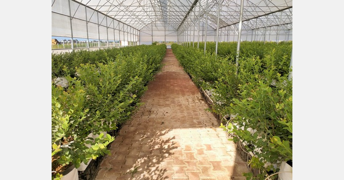 « La Turquie est en passe de devenir l'un des plus grands fournisseurs ...