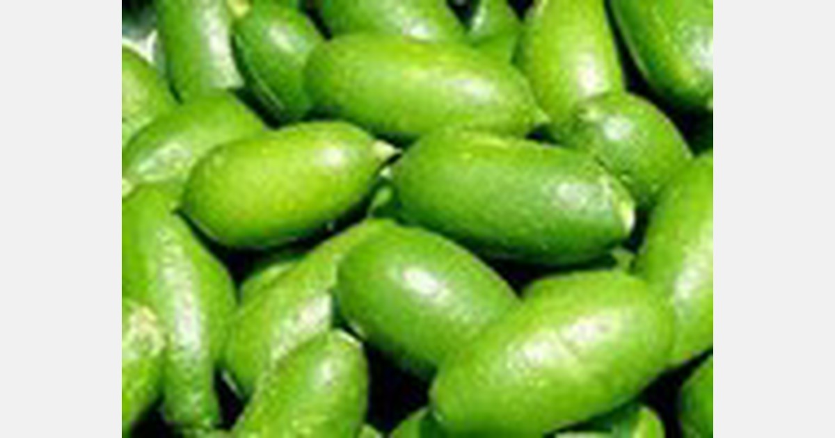 Le citron d'Assam s'internationalise