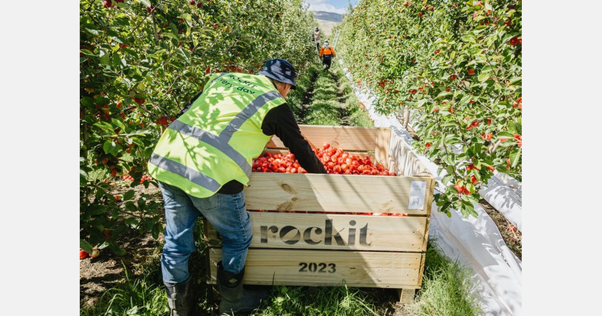 « Nous ne connaîtrons pas le véritable impact sur notre récolte avant ...