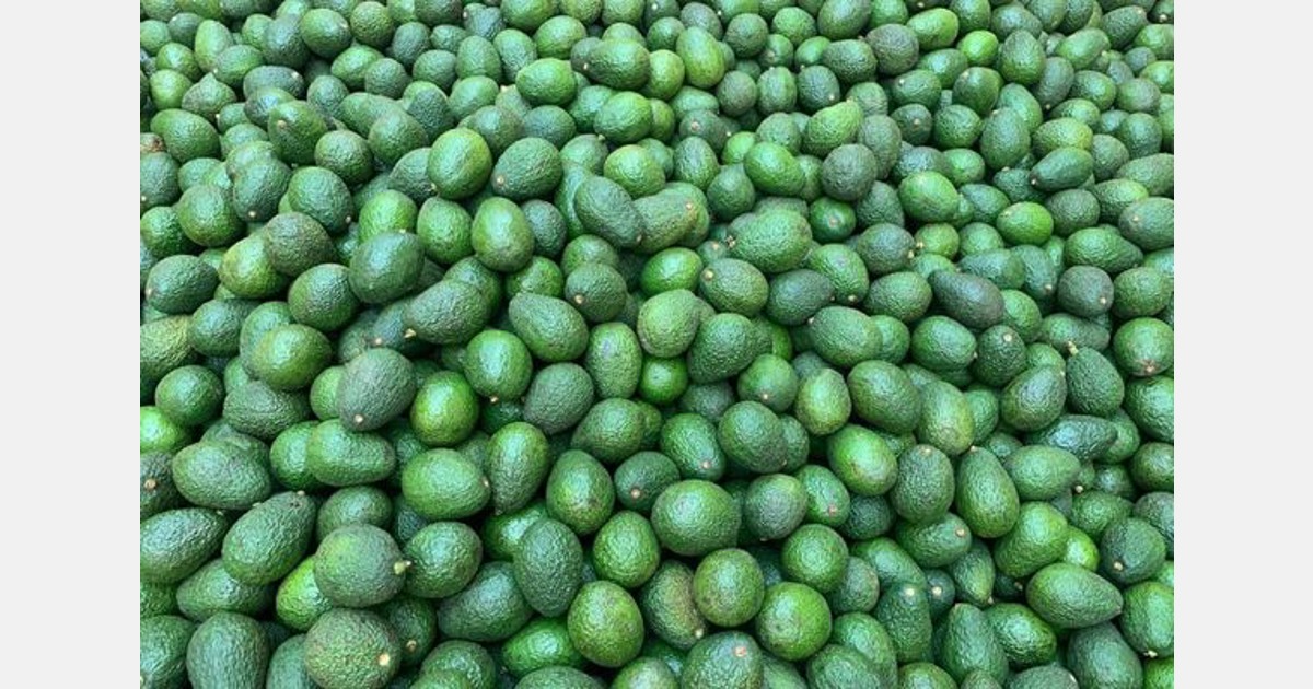 « Le Rwanda est le prochain grand acteur dans le domaine des fruits et ...