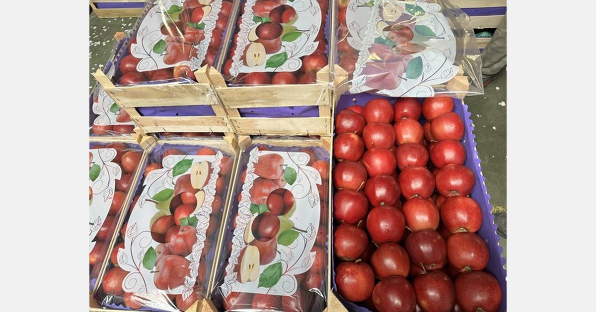 « Cette saison, le prix des pommes n'a cessé d'augmenter