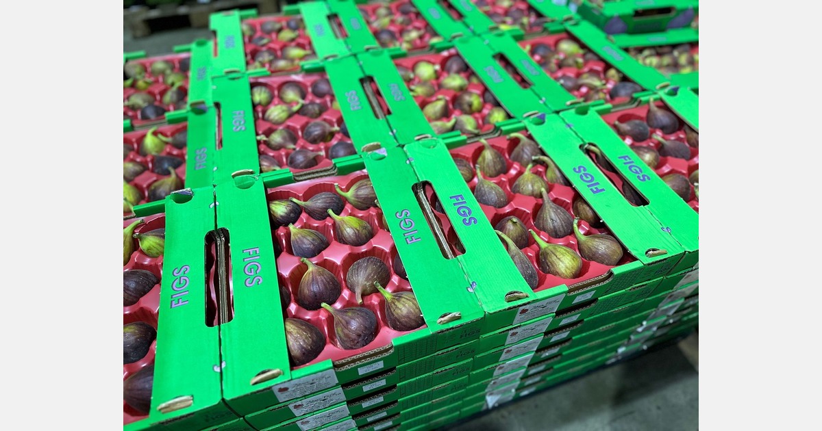 « Les figues d'Israël sont très demandées