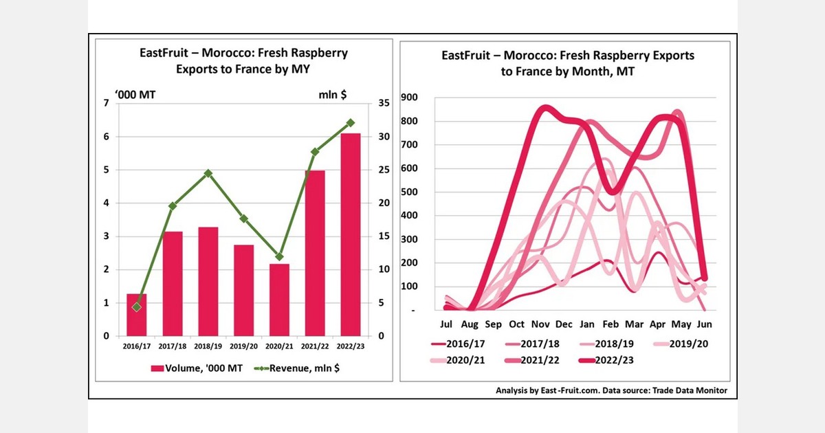Framboises marocaines : nouveau record d'exportation vers la France