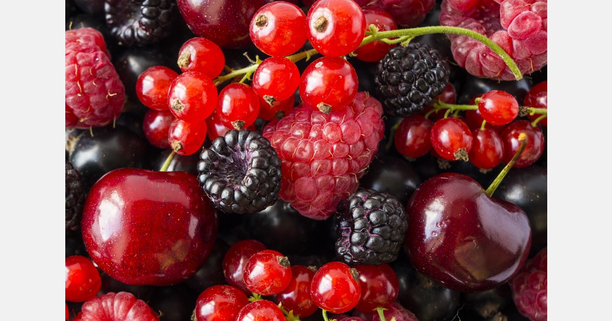 « Les fruits rouges devant les bananes dans le commerce mondial