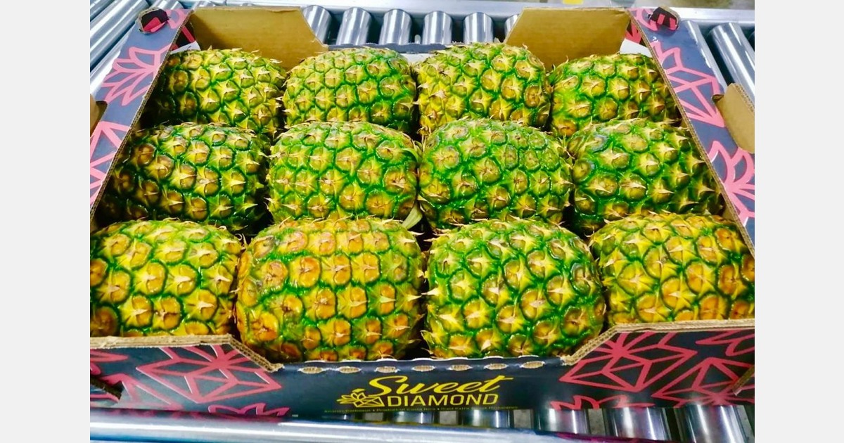 « L'exportation d'ananas sans couronne n'est pas valorisé