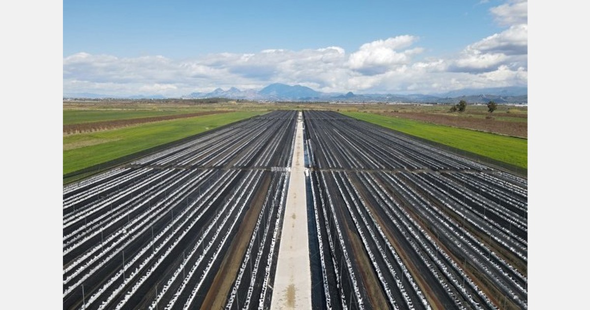 « L'intérêt pour le secteur des fruits rouges en Turquie reste ...