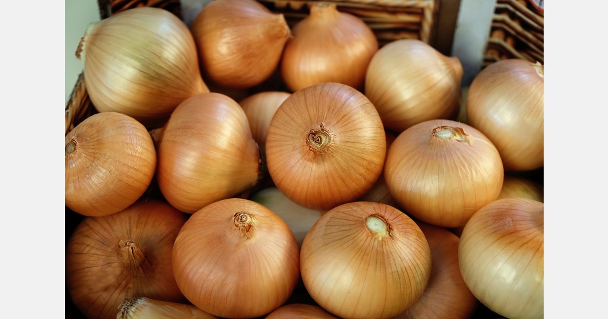 « Nous devrions avoir la nouvelle récolte d'oignons disponible d'ici la ...