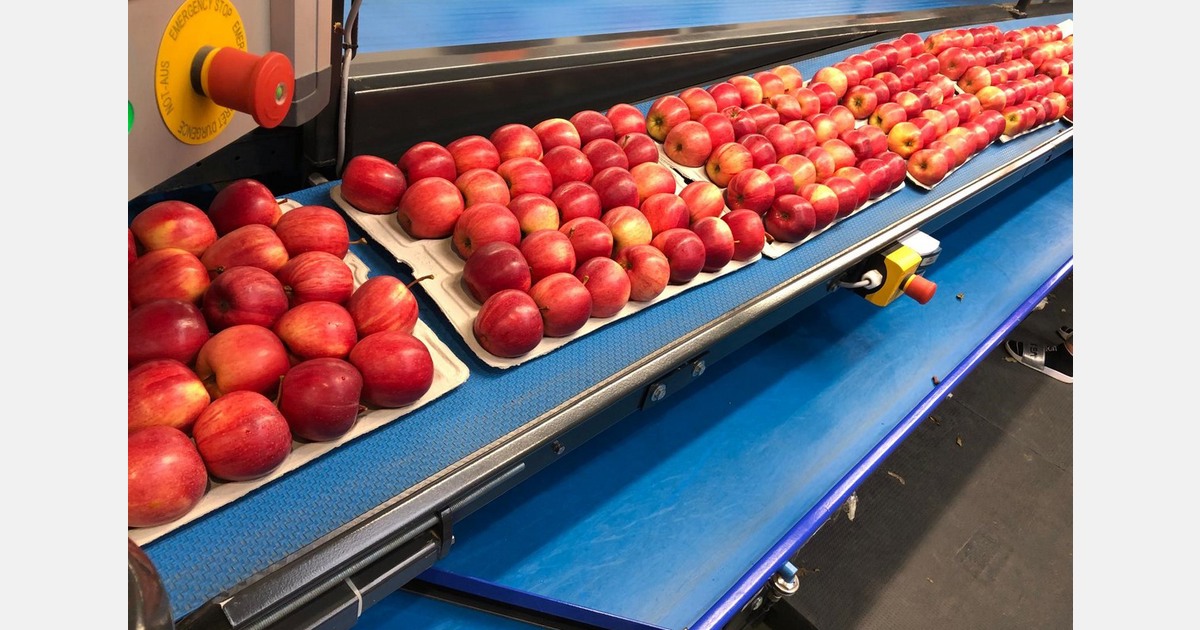 « Nous n'avons pas connu d'augmentation de prix aussi spectaculaire ...