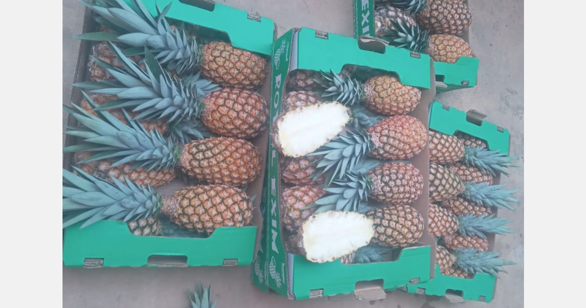 Les exportateurs d'ananas du Bénin espèrent atteindre la Chine