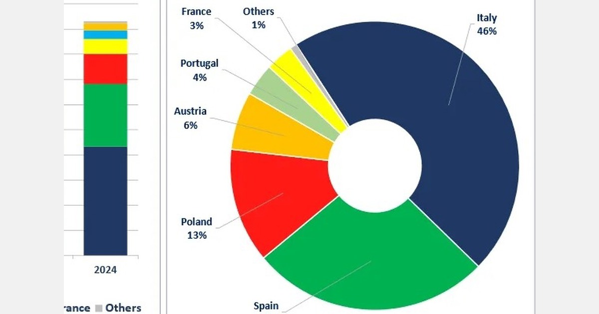 Les importations de pommes du Maroc atteignent un record de 9,3 ...