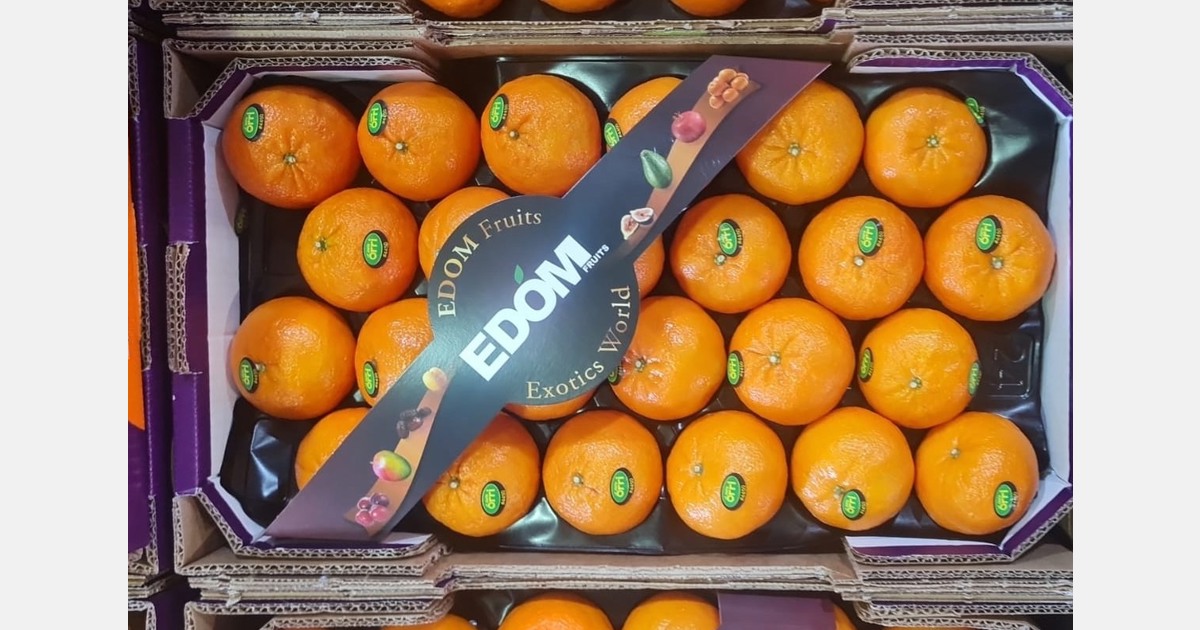 Israël : les volumes de mandarines Orri en baisse de 30 %