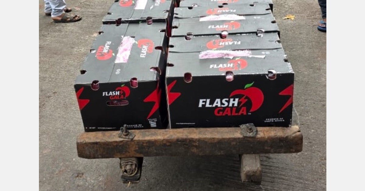 La pomme sud-africaine Flash Gala fait sensation en Inde