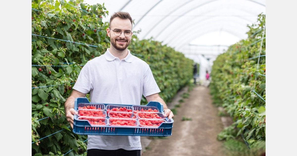 Lignes de pesage manuelles et dynamiques pour le conditionnement des ...