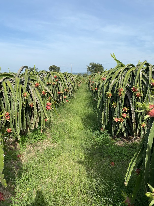 « Nous voyageons avec le soleil et les saisons
