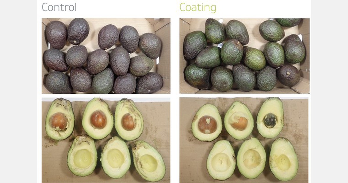 « Malgré l'enrobage, la maturation contrôlée des fruits est toujours ...