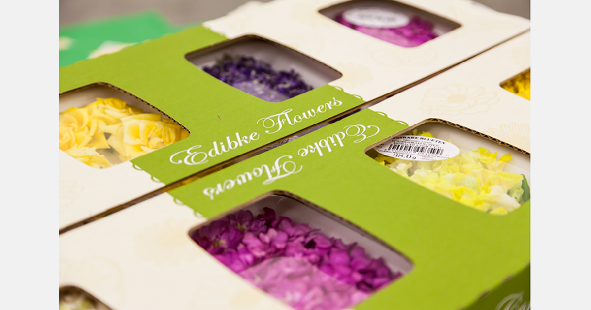 Forte demande pour les mélanges de fleurs d'Afrique du Sud