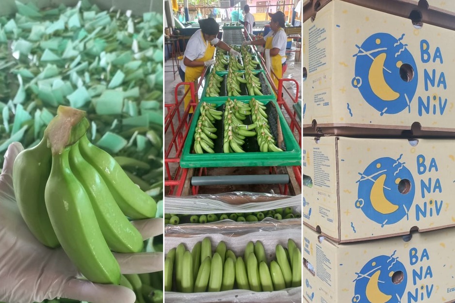 « Je tiens à contribuer au maintien de la chaîne d'approvisionnement ...