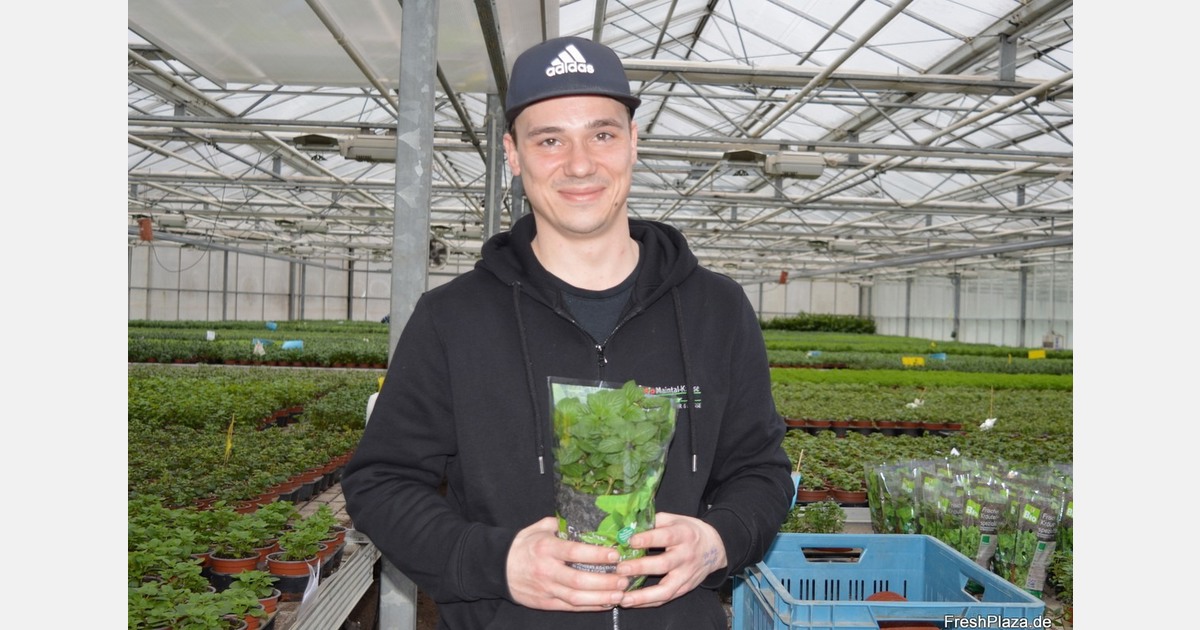 « Grâce à l'augmentation de la clientèle, nous avons presque pu ...