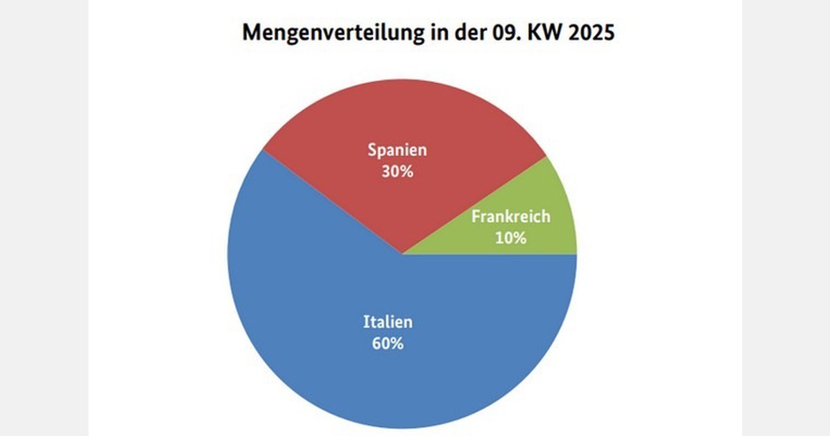 « La disponibilité des choux-fleurs s’est nettement étendue
