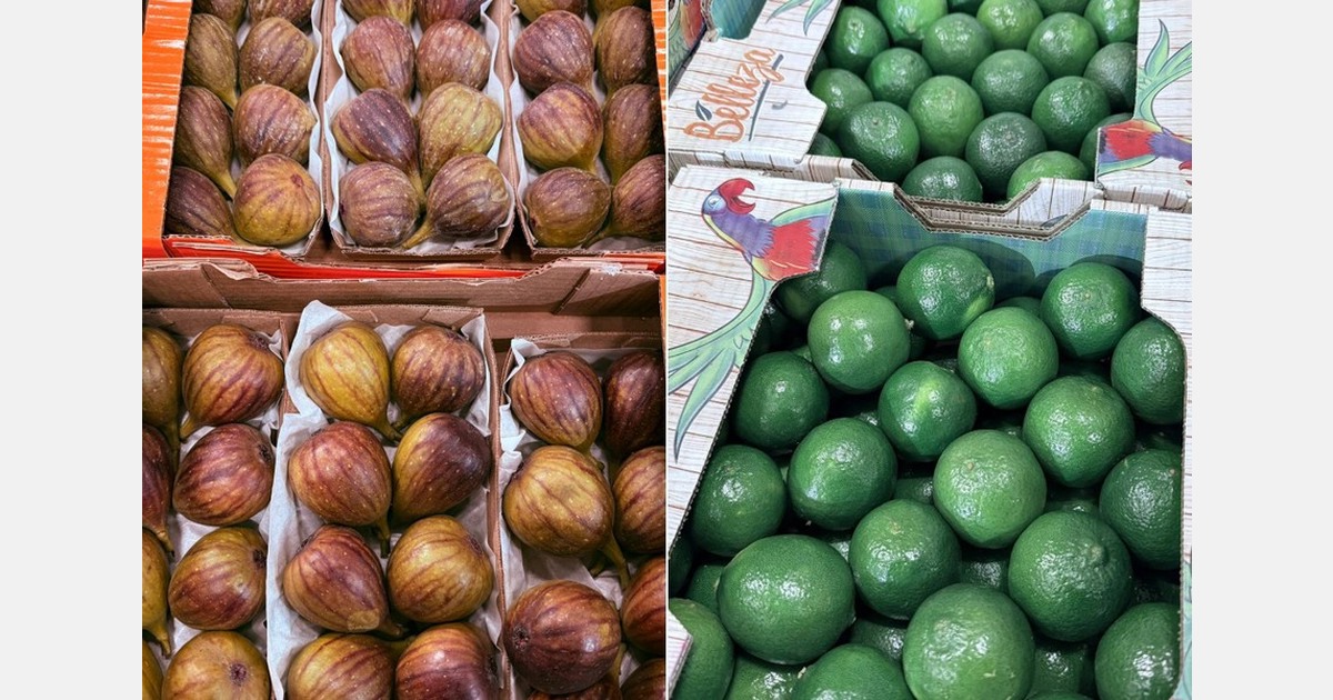 « Le prix des lime a augmenté d’un tiers depuis le début de l’année