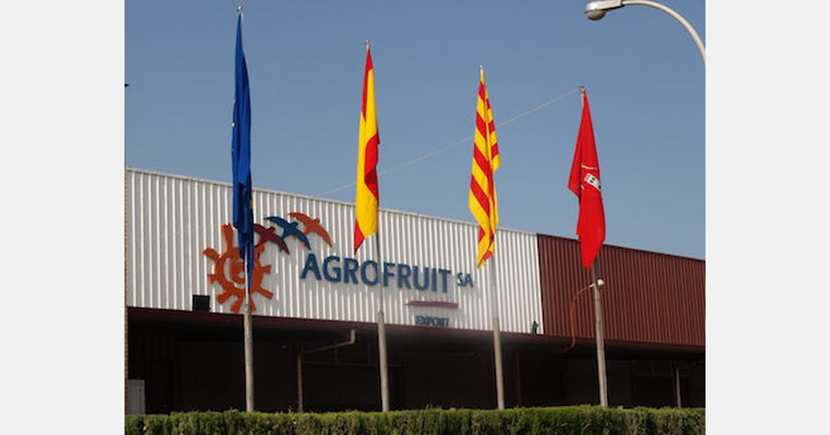 Espagne : la société Agrofruit est mise en liquidation