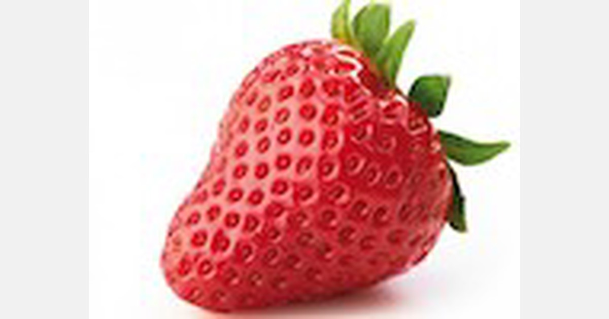 Espagne : Les producteurs de fraises de Huelva s'attendent à récolter ...