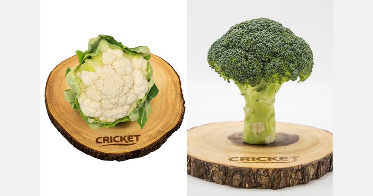 « Le chou-fleur est devenu un produit de spécialistes