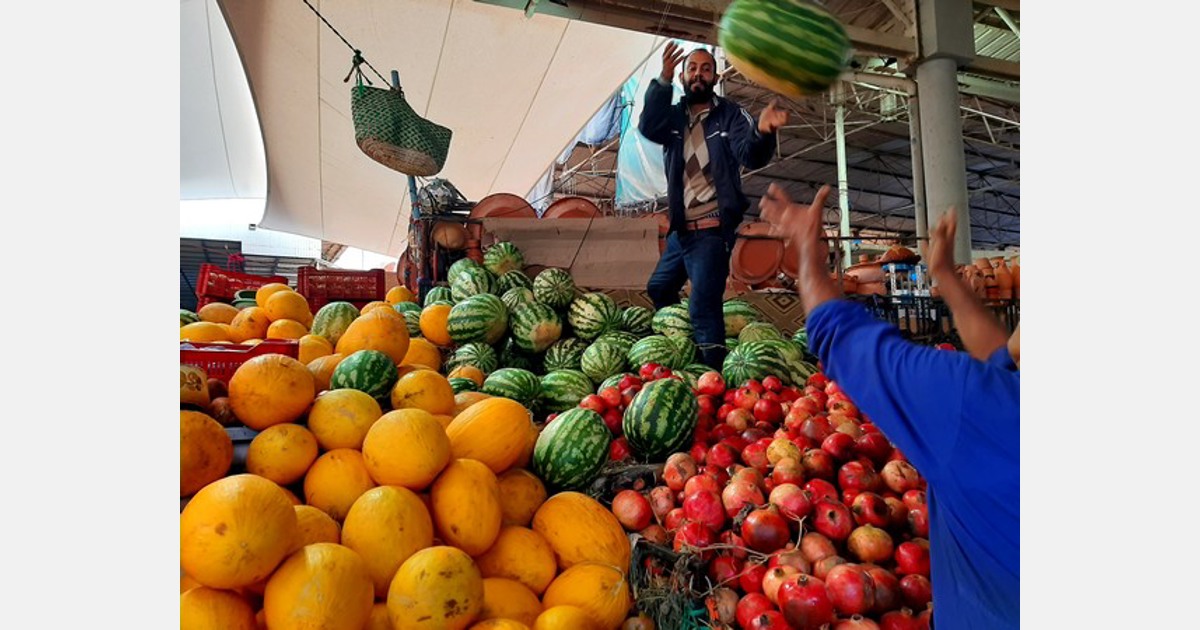 Agadir en tête des exportations de fruits et légumes du Maroc