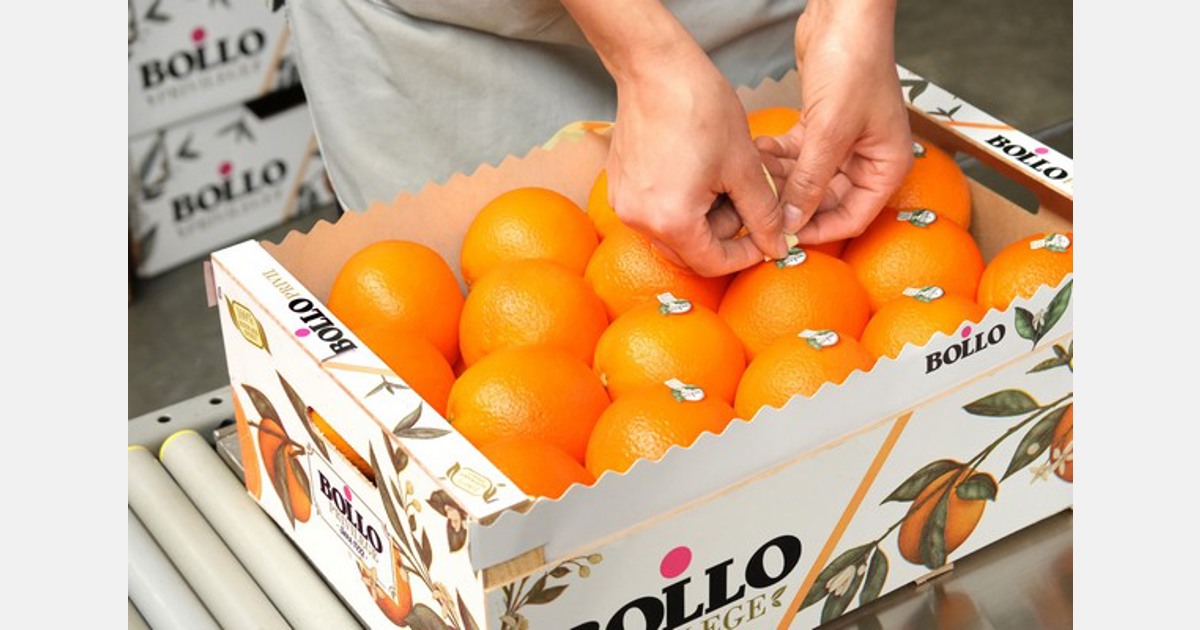 Bollo International Fruits et The Natural Fruit Company fusionnent
