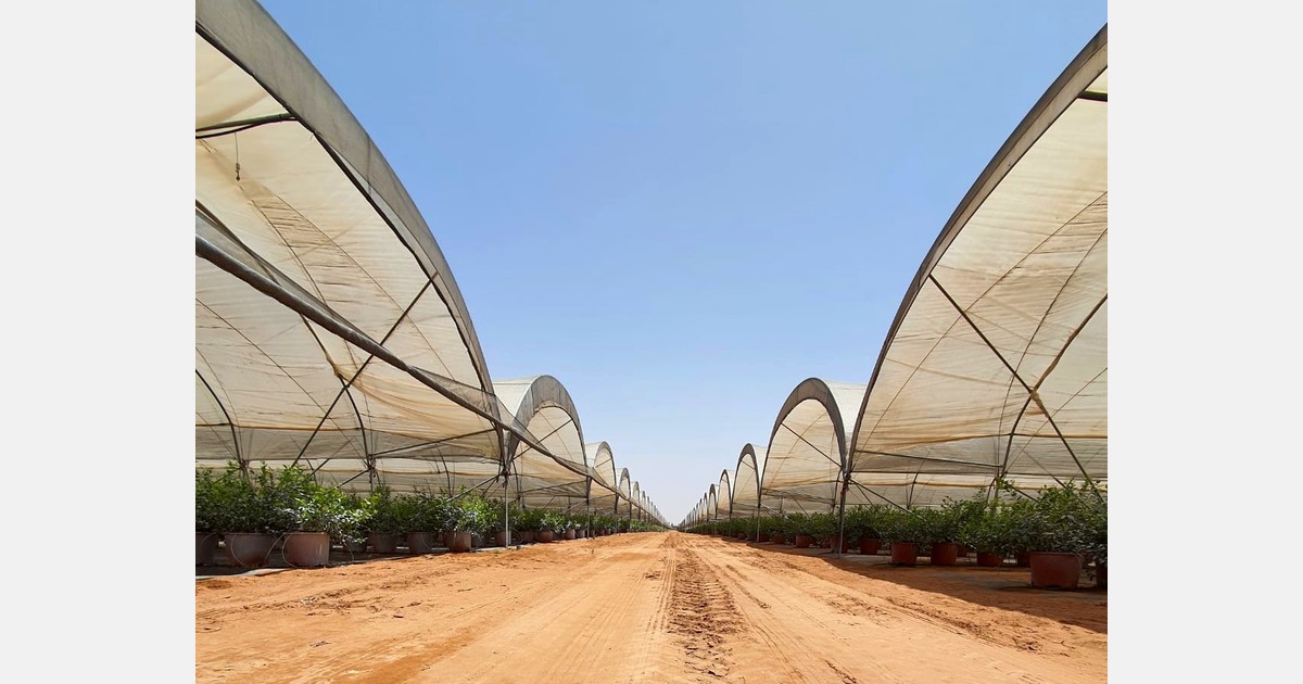 « L'expérience acquise sur nos terres nous a permis de devenir des ...