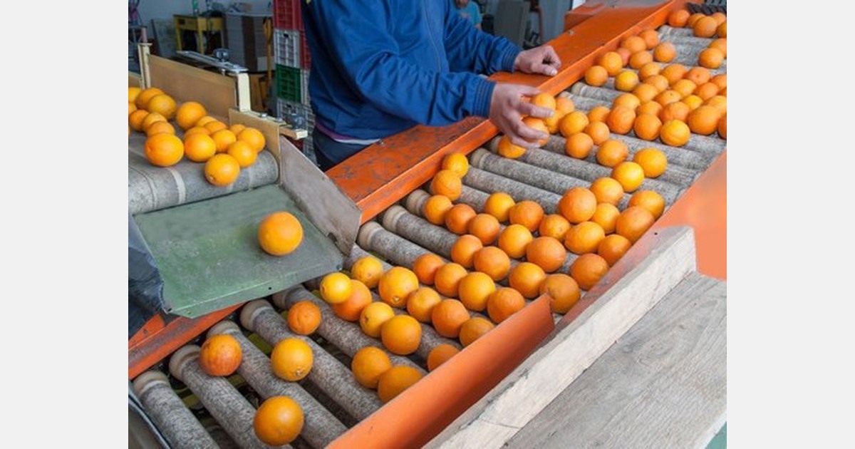 « Cette alliance marque une étape importante dans la protection et le ...
