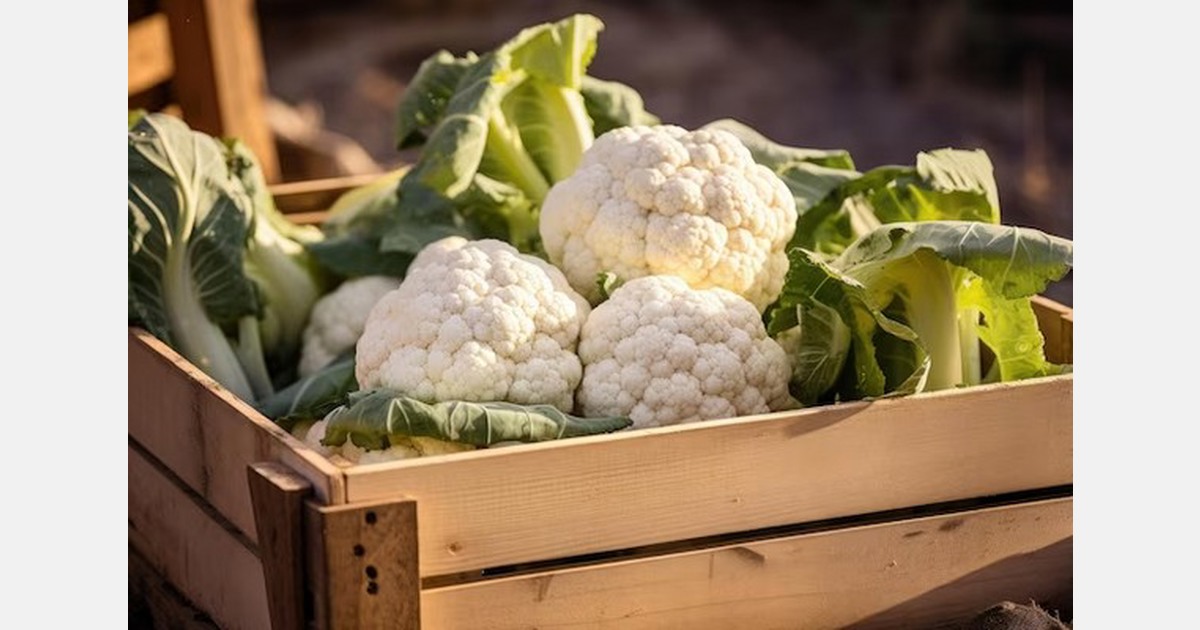 « Le chou-fleur est devenu un produit de luxe du fait de son prix très ...