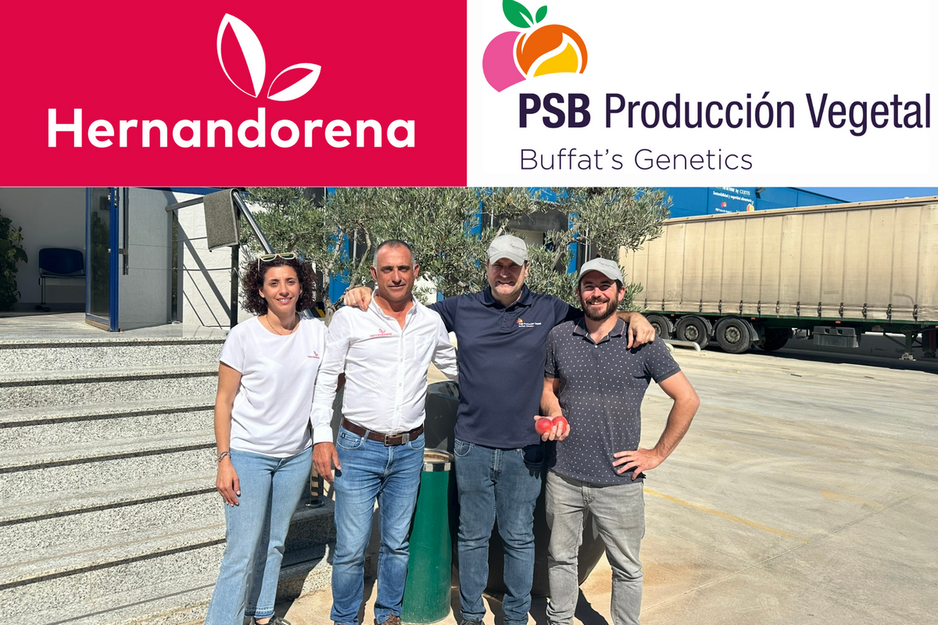 « Viveros Hernandorena et PSB Production Végétale : deux décennies de ...