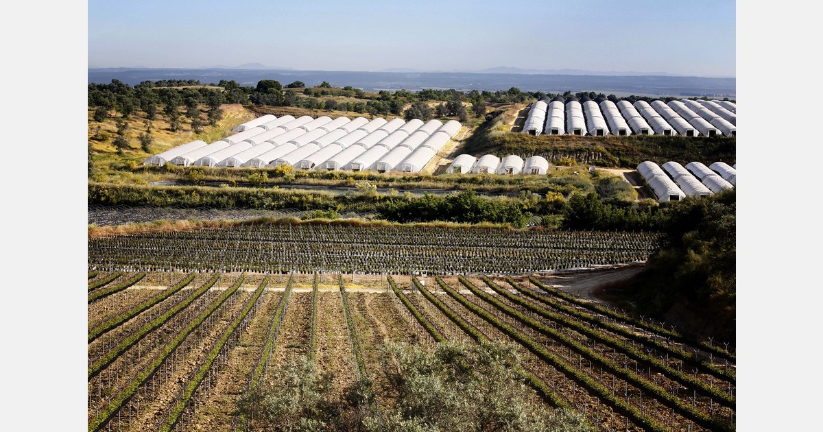 Senda : la nouvelle société créée pour la commercialisation de 20 000 ...