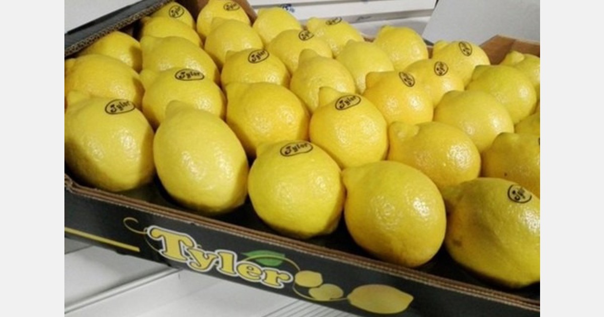 « De nombreux distributeurs européens préfèrent les citrons espagnols ...