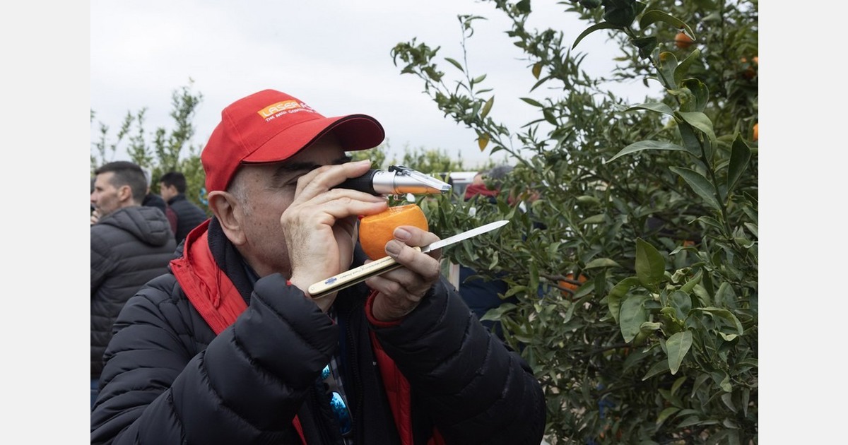 « Ces journées s'inscrivent dans une stratégie visant à positionner la ...