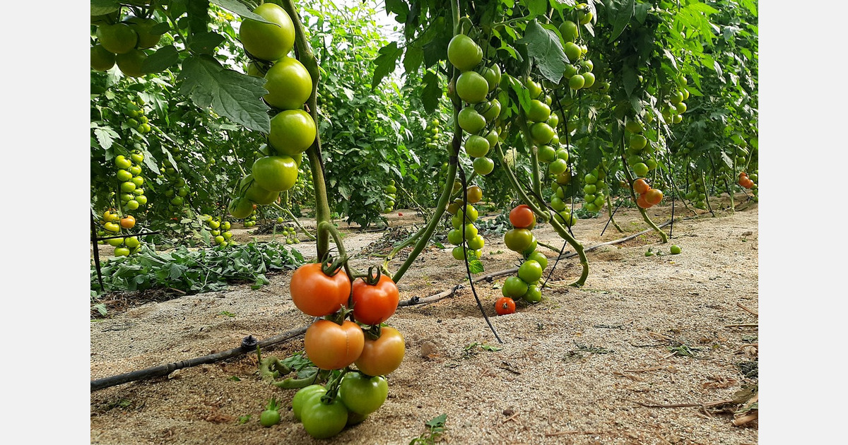 « La Turquie pourrait se tourner de plus en plus vers l'Europe pour ...